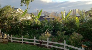 A Hidden Oasis: Hawaii’s Historic Manoa Valley Inn Bed & Breakfast ...